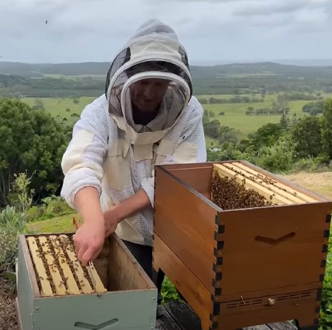 How do I split my hive in spring | Step by step video - Flow Hive EU