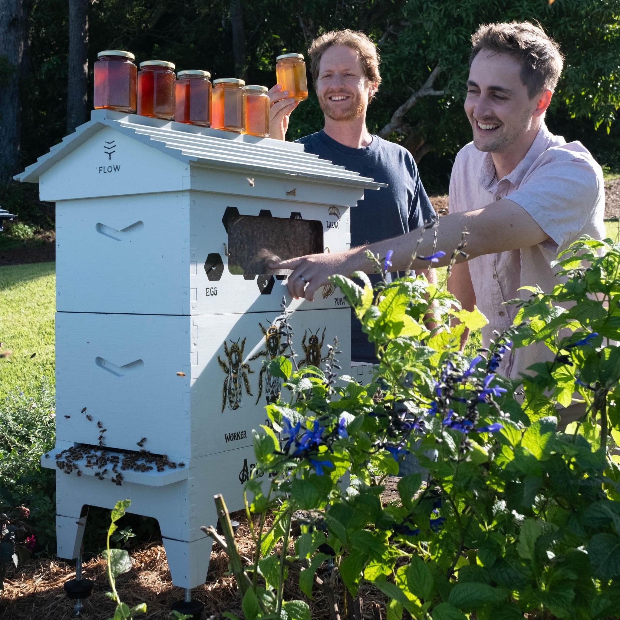 Flow Hive 2 | Honey straight from the beehive - Flow Hive EU