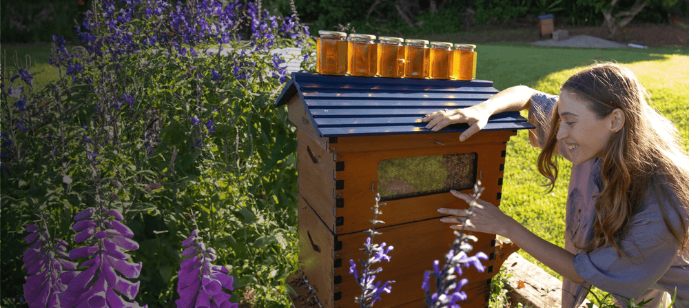 Spring beekeeping in Europe. Learn what you need - Flow Hive EU