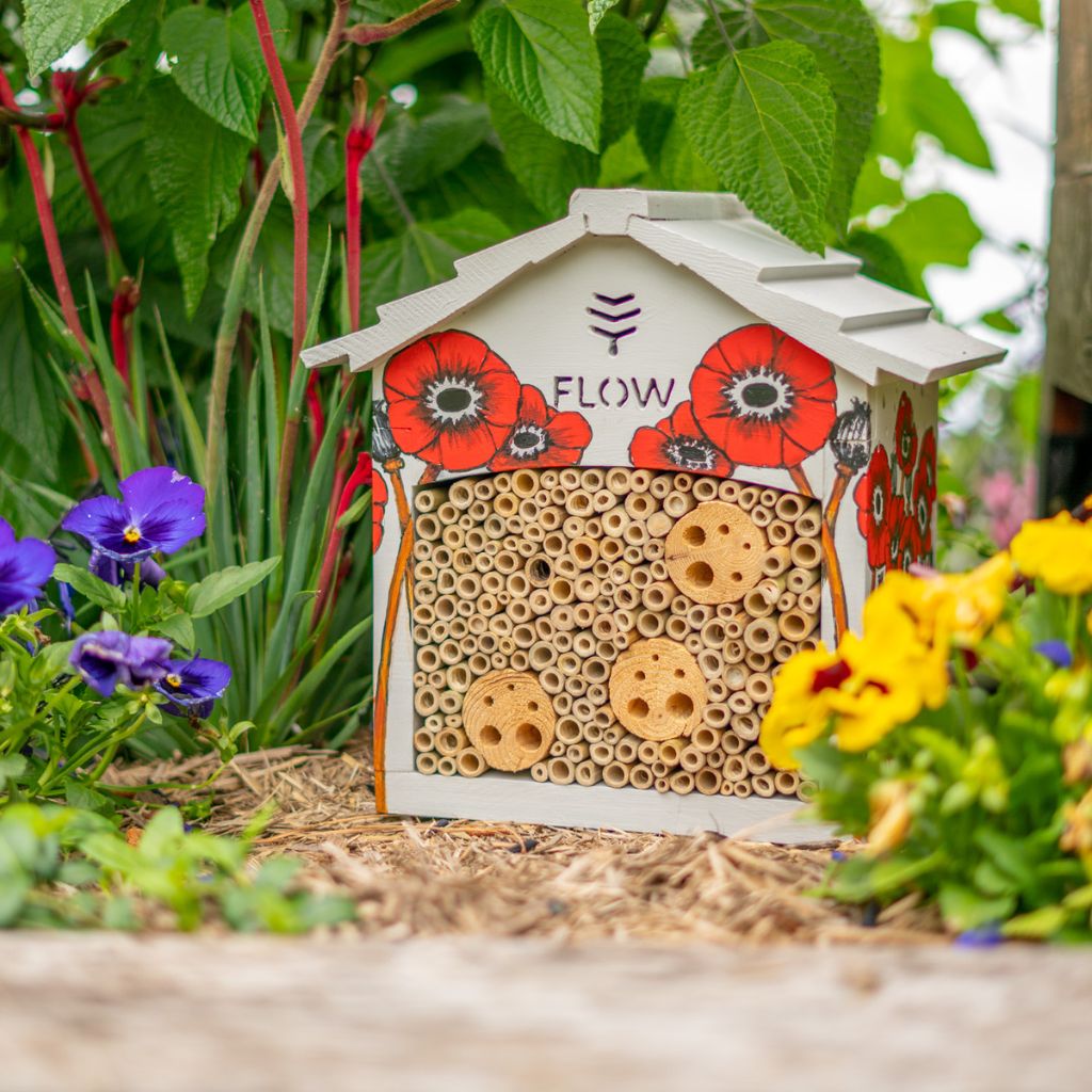 How to Help the Bees - Flow Hive EU