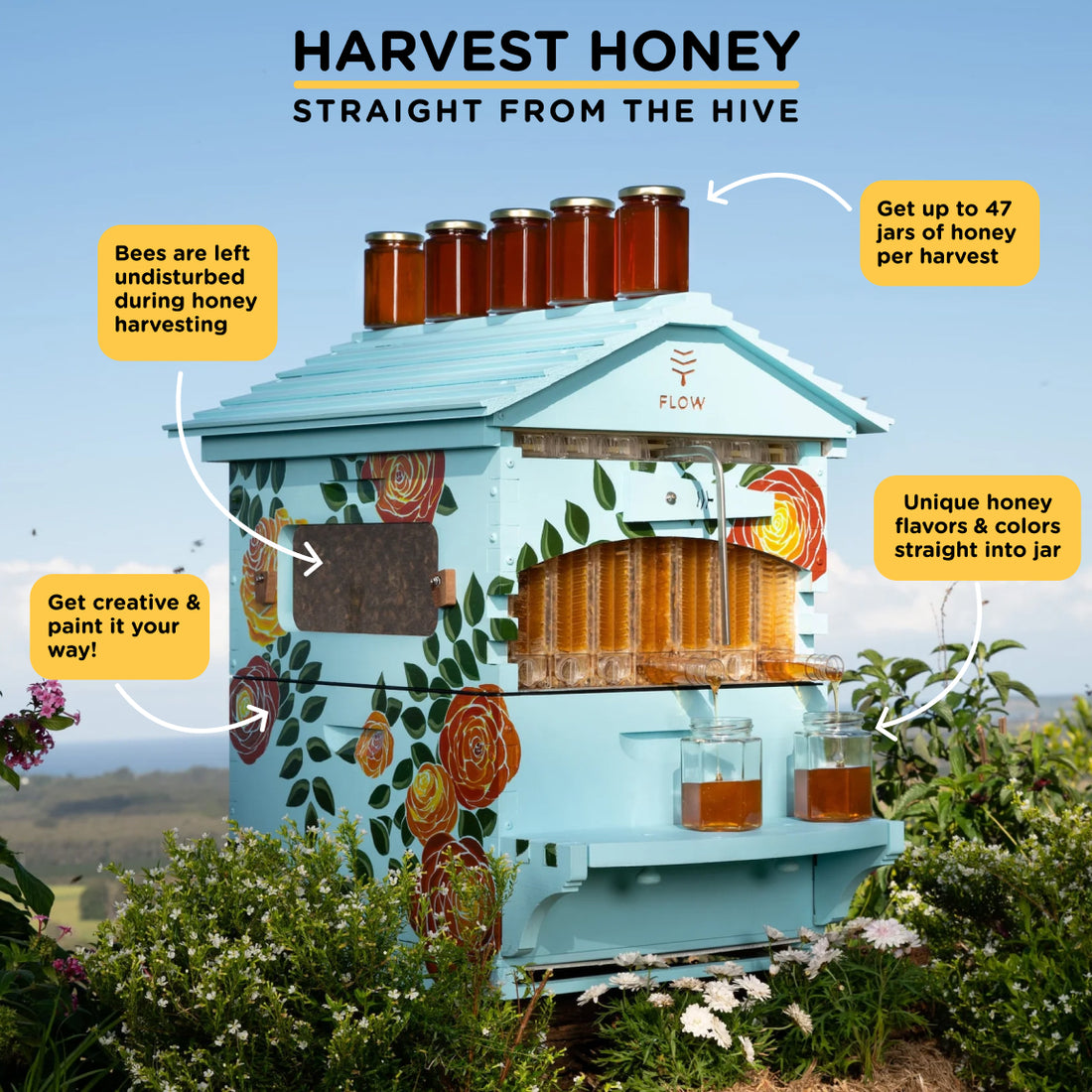 Spring beekeeping in Europe. Learn what you need - Flow Hive EU
