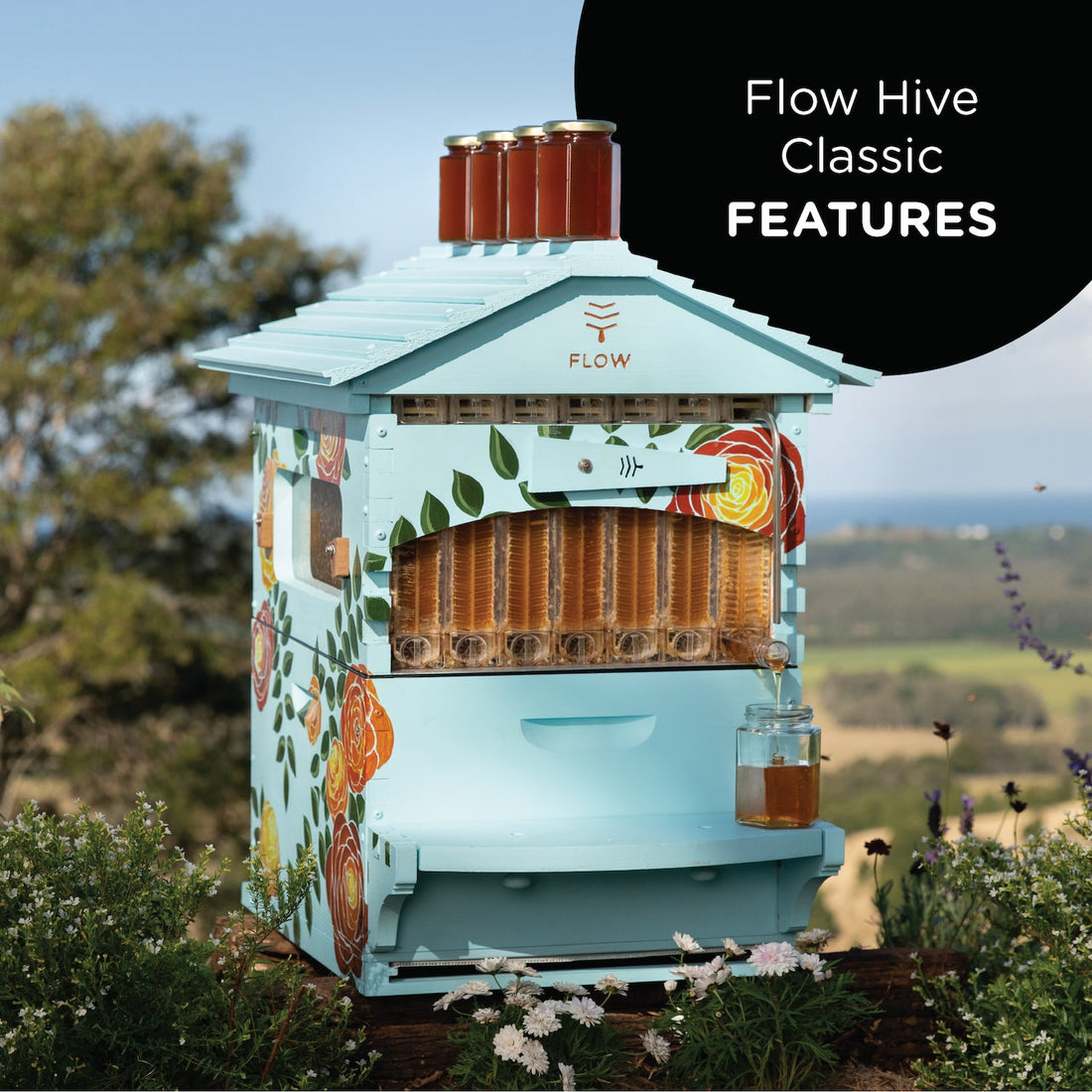 Spring beekeeping in Europe. Learn what you need - Flow Hive EU