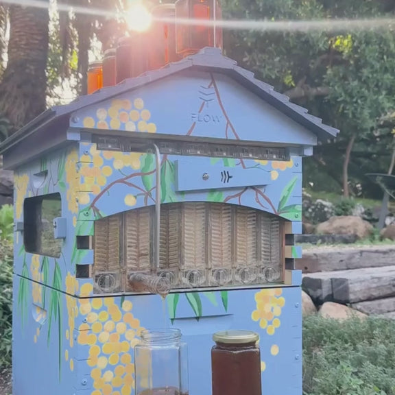 Spring beekeeping in Europe. Learn what you need - Flow Hive EU