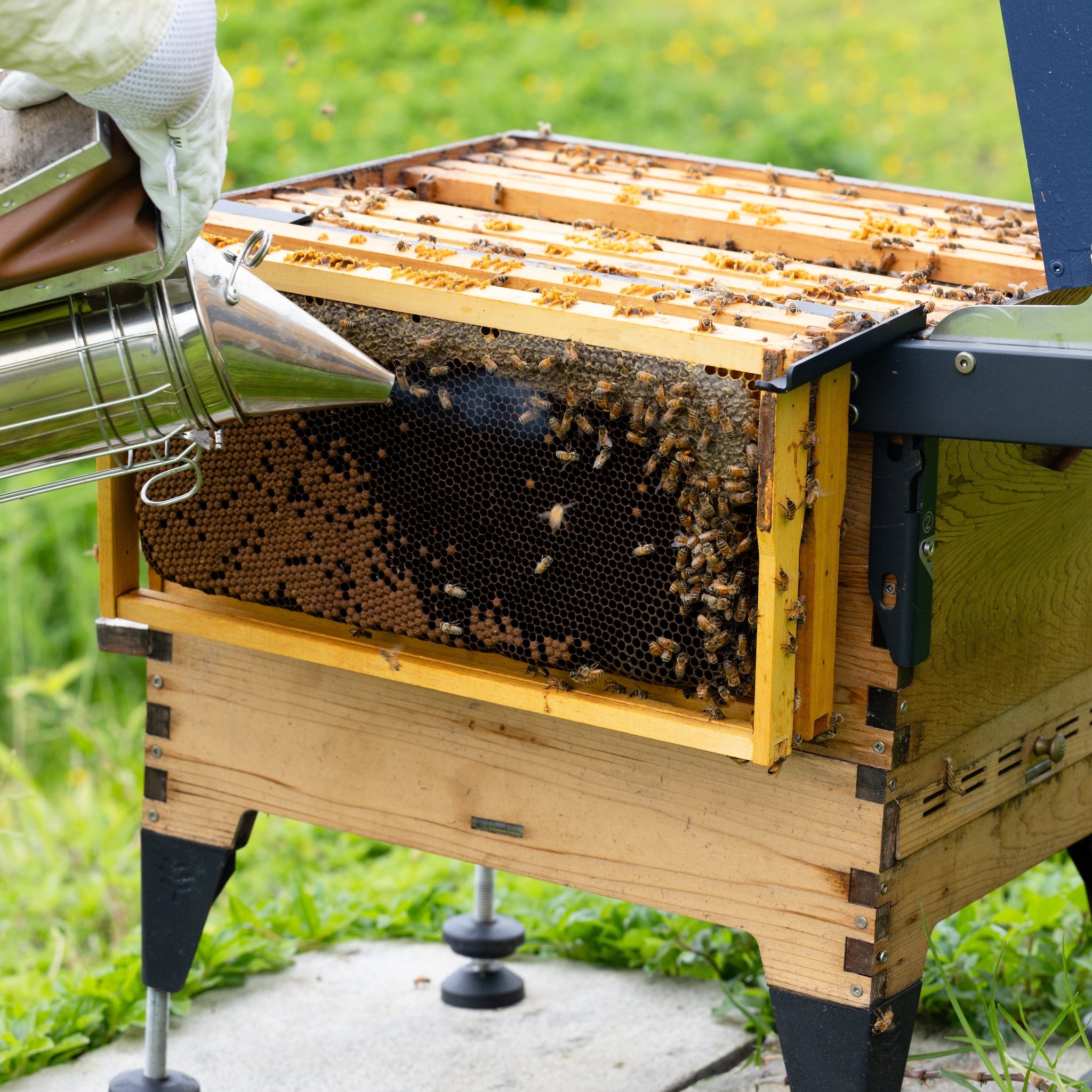 Flow Inspection Frame Rests - Flow Hive EU