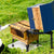 Scratch & Dent Ultimate Beek Bundle - Flow Hive EU