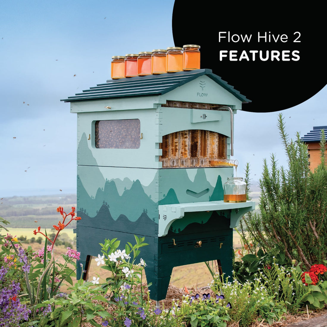 Spring beekeeping in Europe. Learn what you need - Flow Hive EU