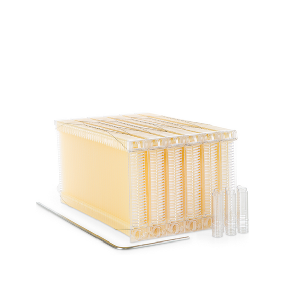 Flow Frames l Flow Hive Honey On Tap Beehive Europe - Flow Hive EU