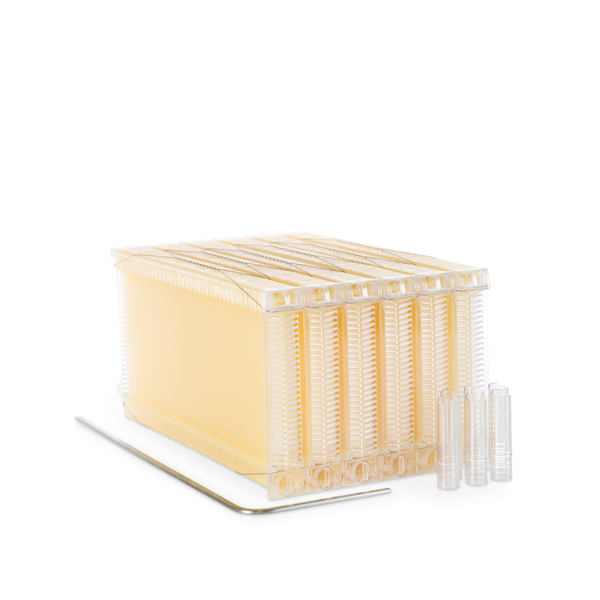 Flow Frames - Flow Hive EU